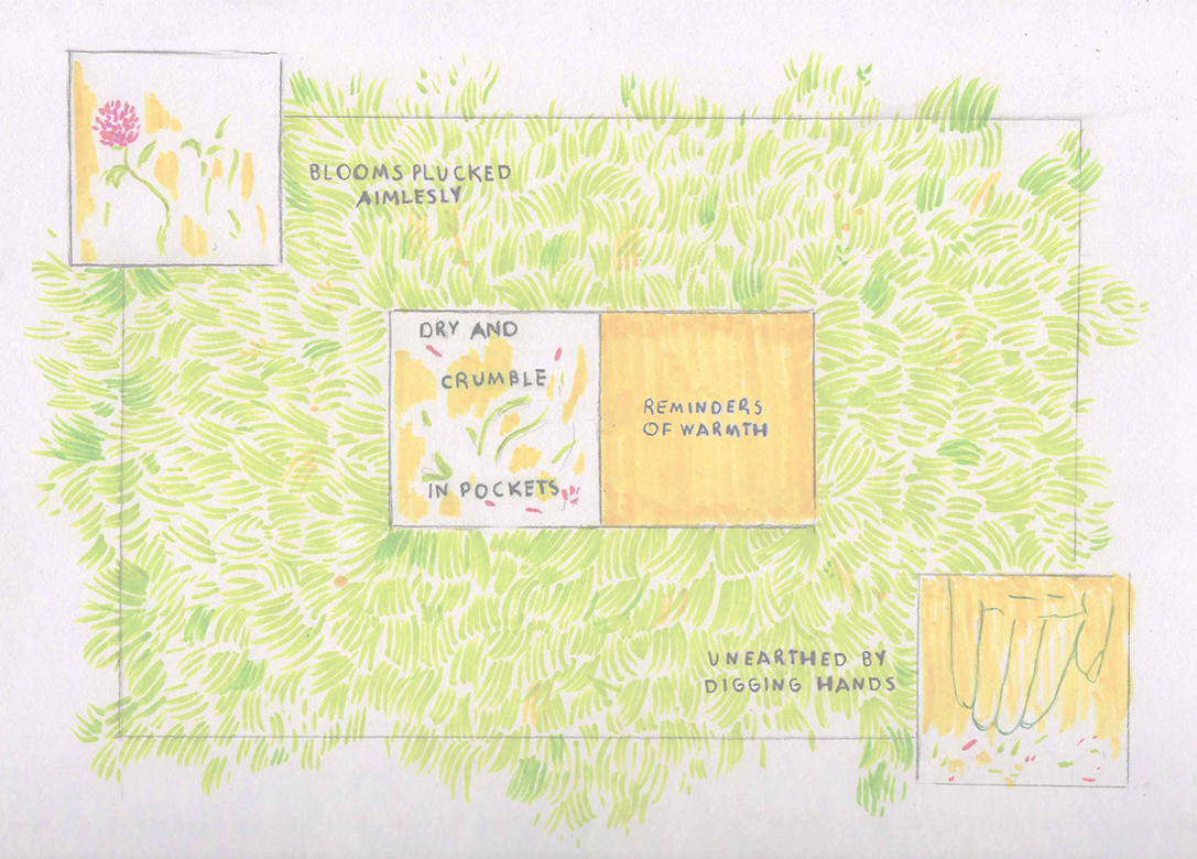 Rachel Krohn – ANMLY